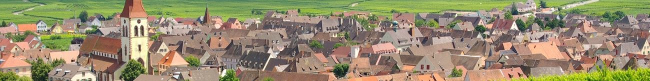 Nos implantations - Cofigeo